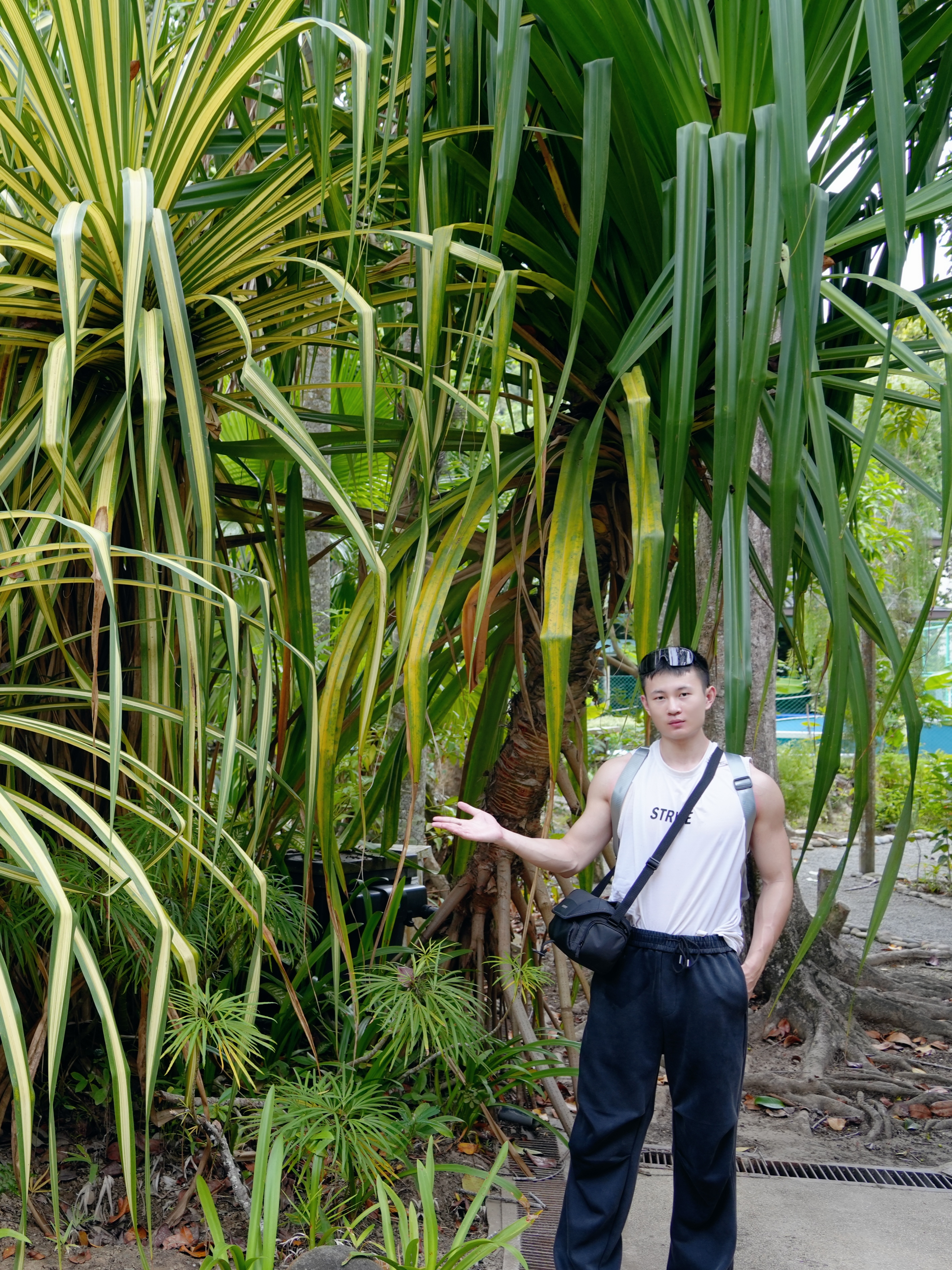 Tianlong Wang - Homepage